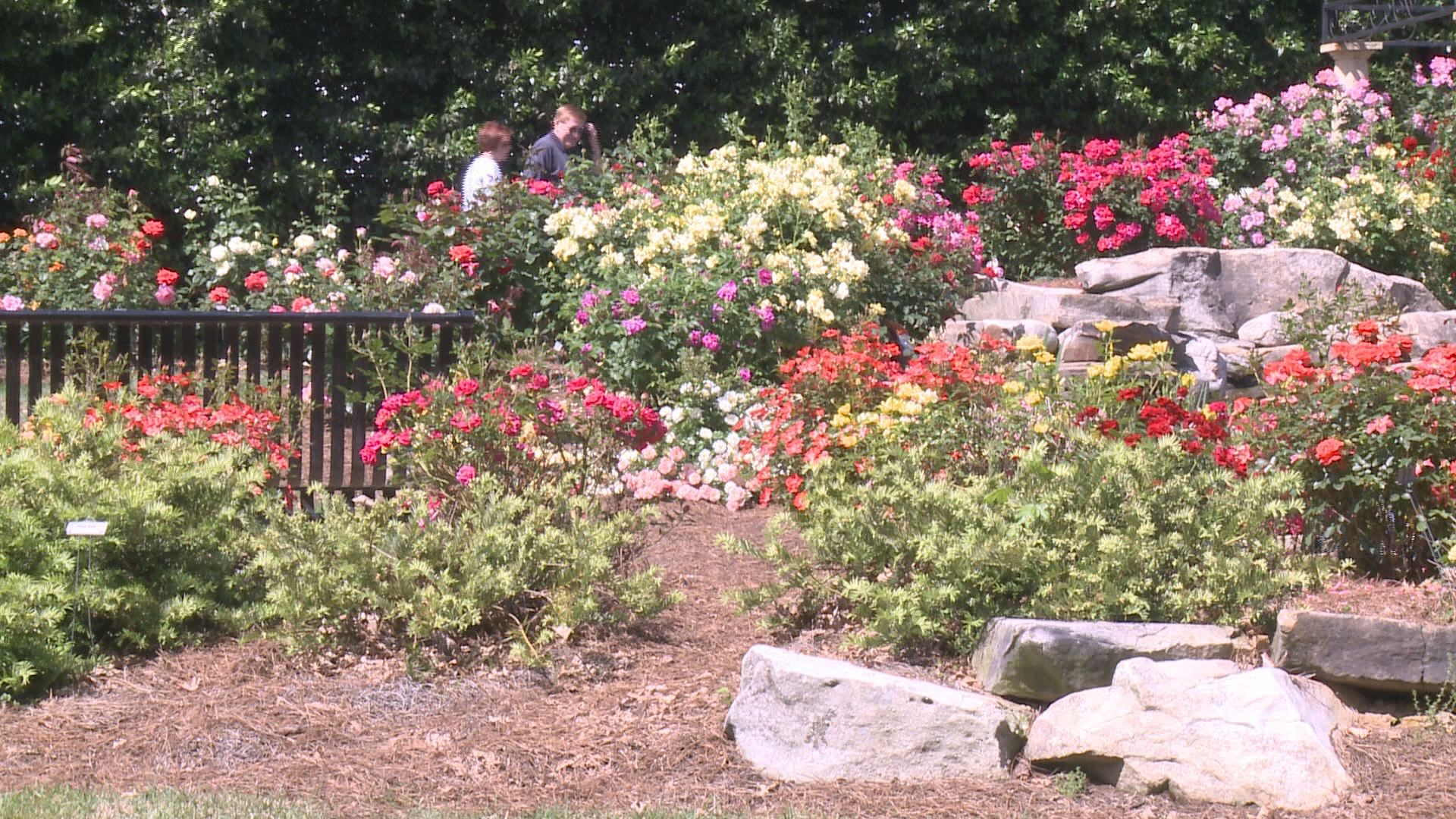 What you need to know Friday | wbir.com