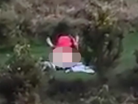 Man Films Couple Having Sex In Park Thought They Were Fighting