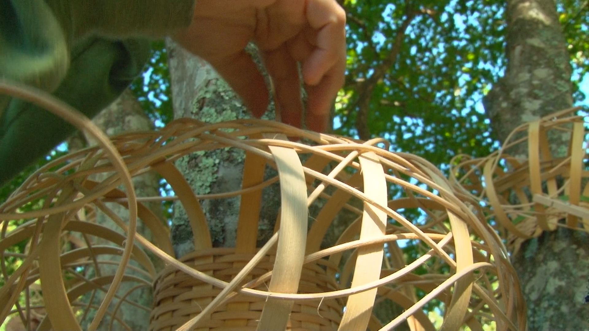Artist weaves basket sculpture around Gatlinburg trees | wbir.com