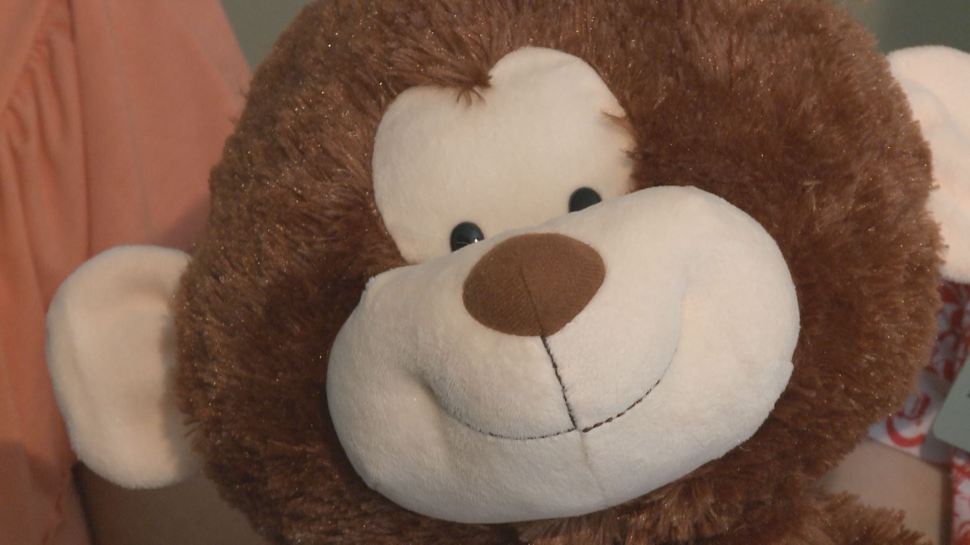 Monkey toy has real impact | wbir.com