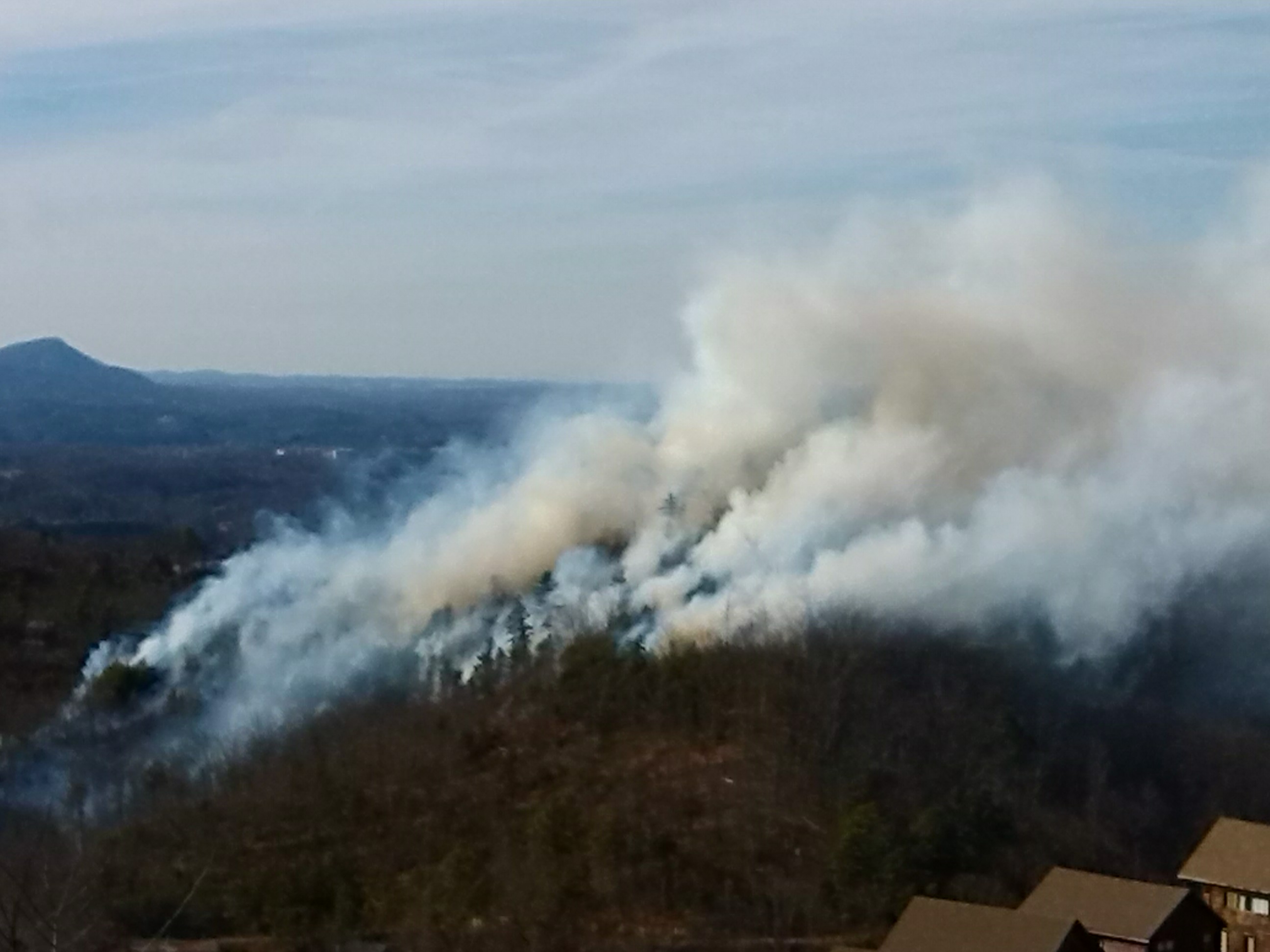 Pigeon Forge brush fire 100 percent contained | wbir.com