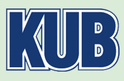 KUB: Squirrel knocks out power to 6,000 customers | wbir.com