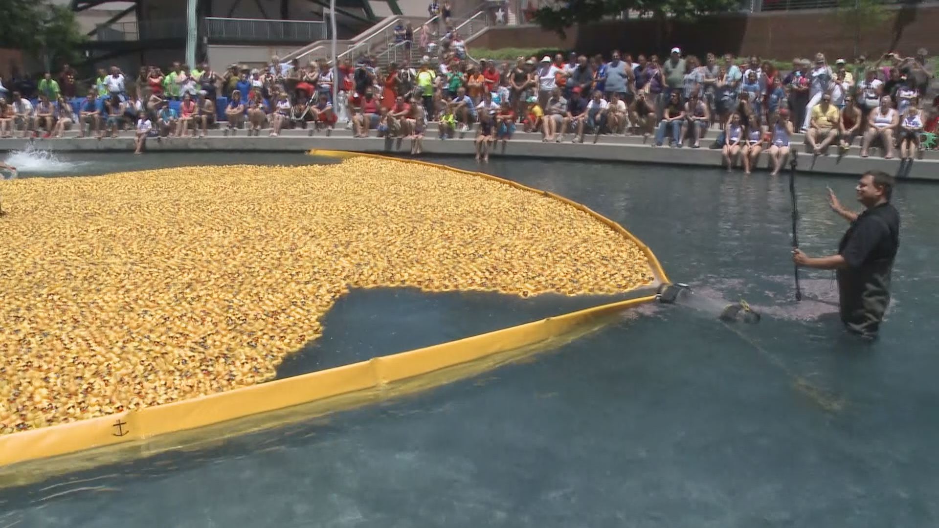 Lucky ducks: 2014 Duck Race winners announced | wbir.com