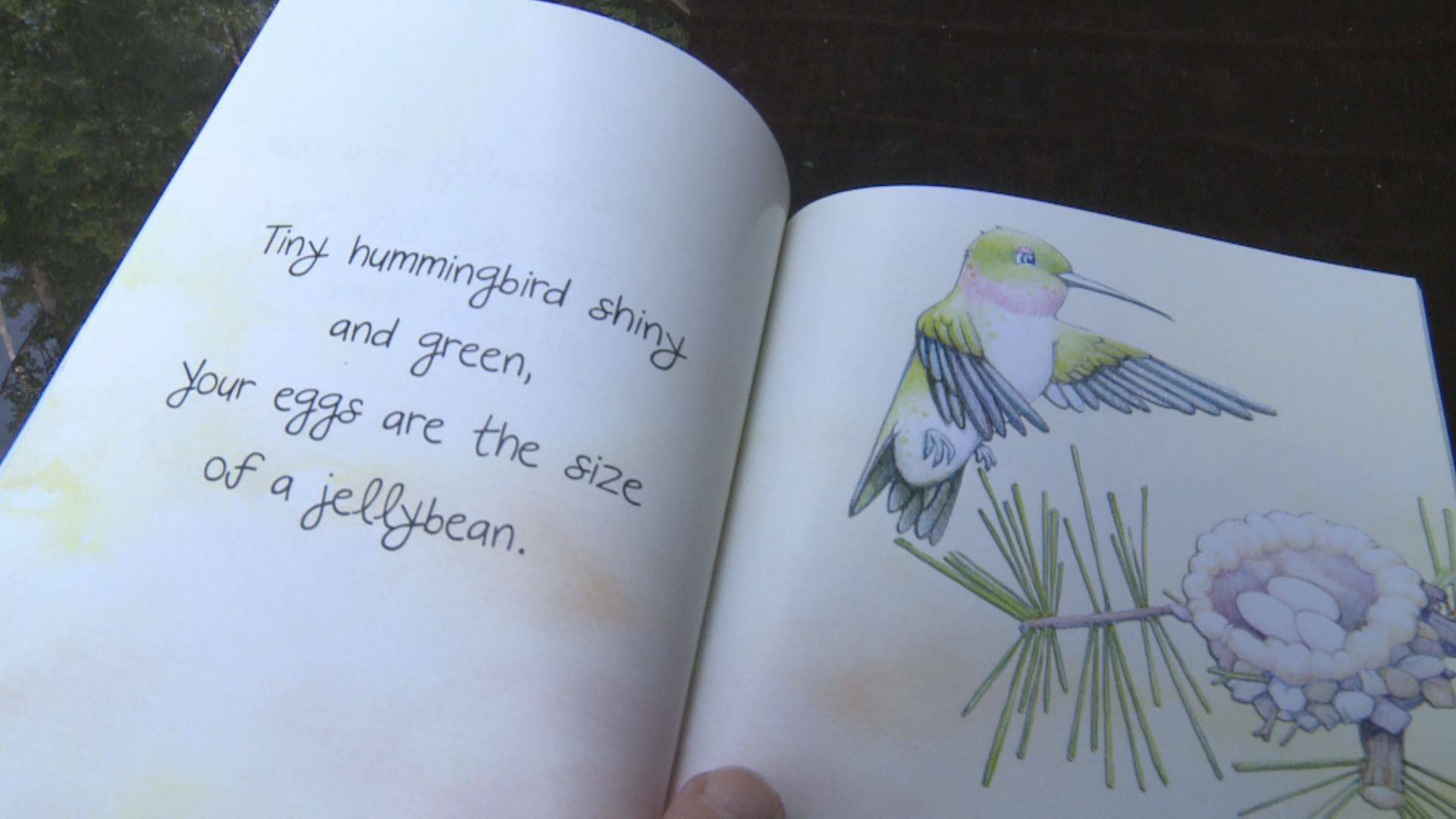 Learning about birds inspires a book: The Feeding Tree | wbir.com