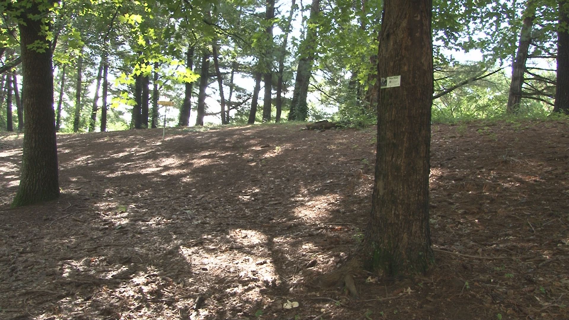 Decoding nature: QR codes offer video lessons on park trees | wbir.com