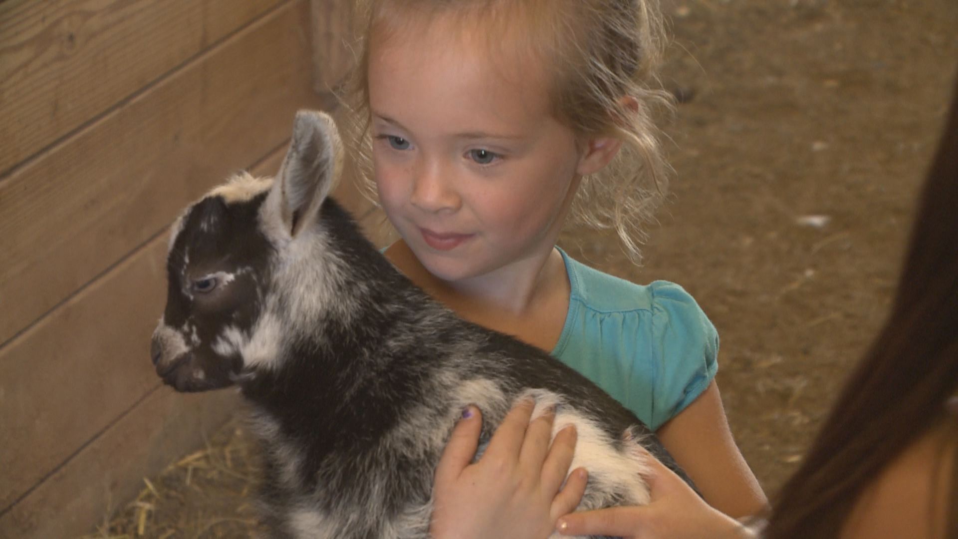 The Friendly Farm gets its name from its animals | wbir.com