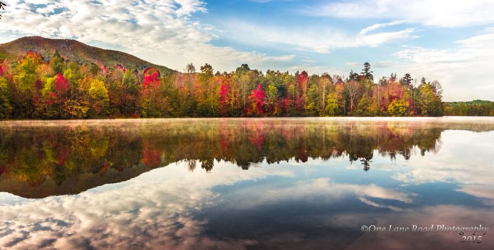 This is what to do if you drive through Tellico Plains | wbir.com