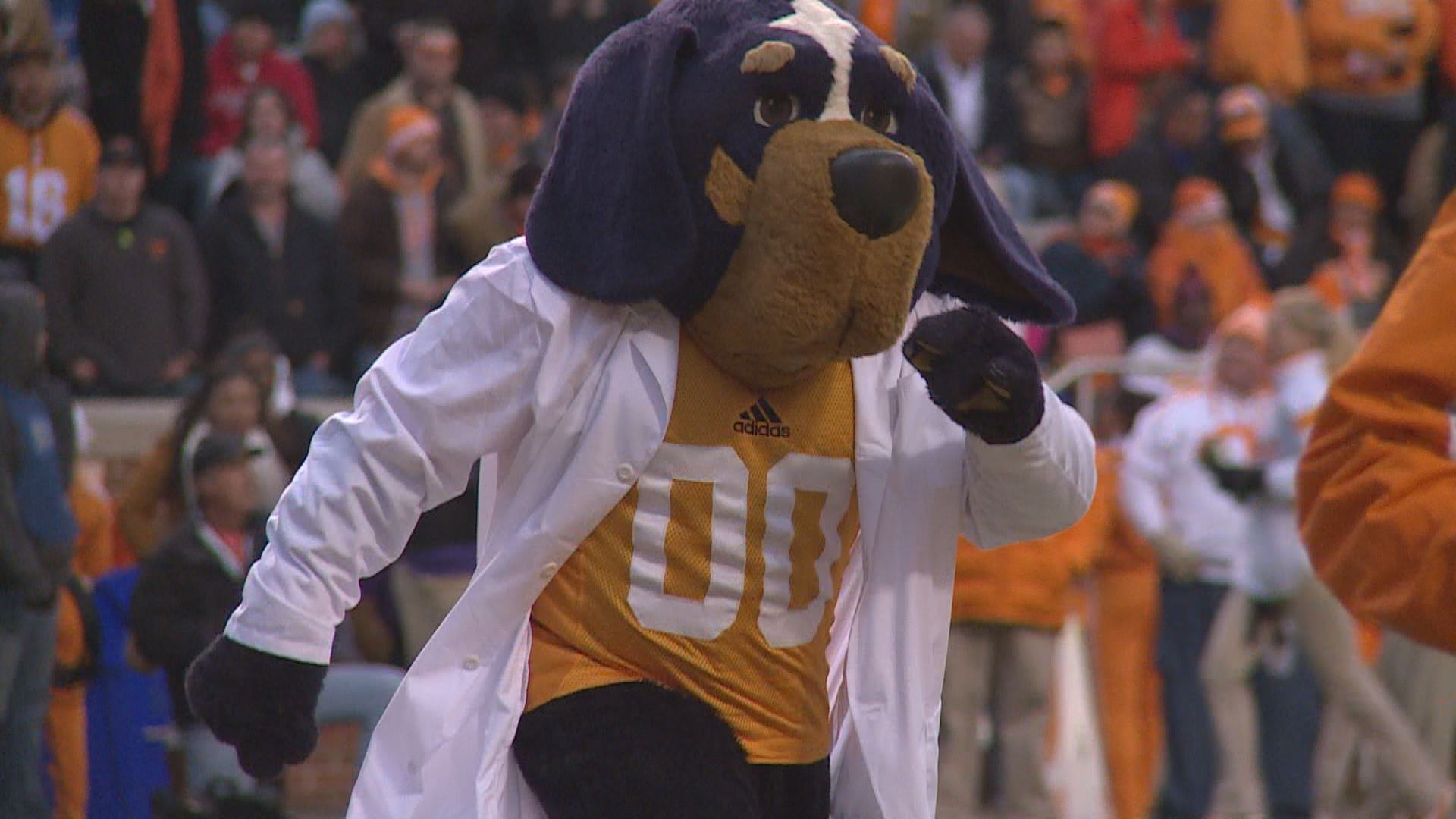 UT mascot struts in style thanks to talented seamstress | wbir.com