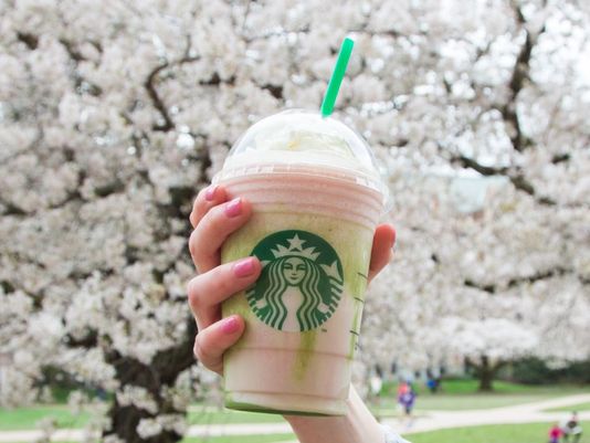 Starbucks debuts Cherry Blossom Frappucino | wbir.com