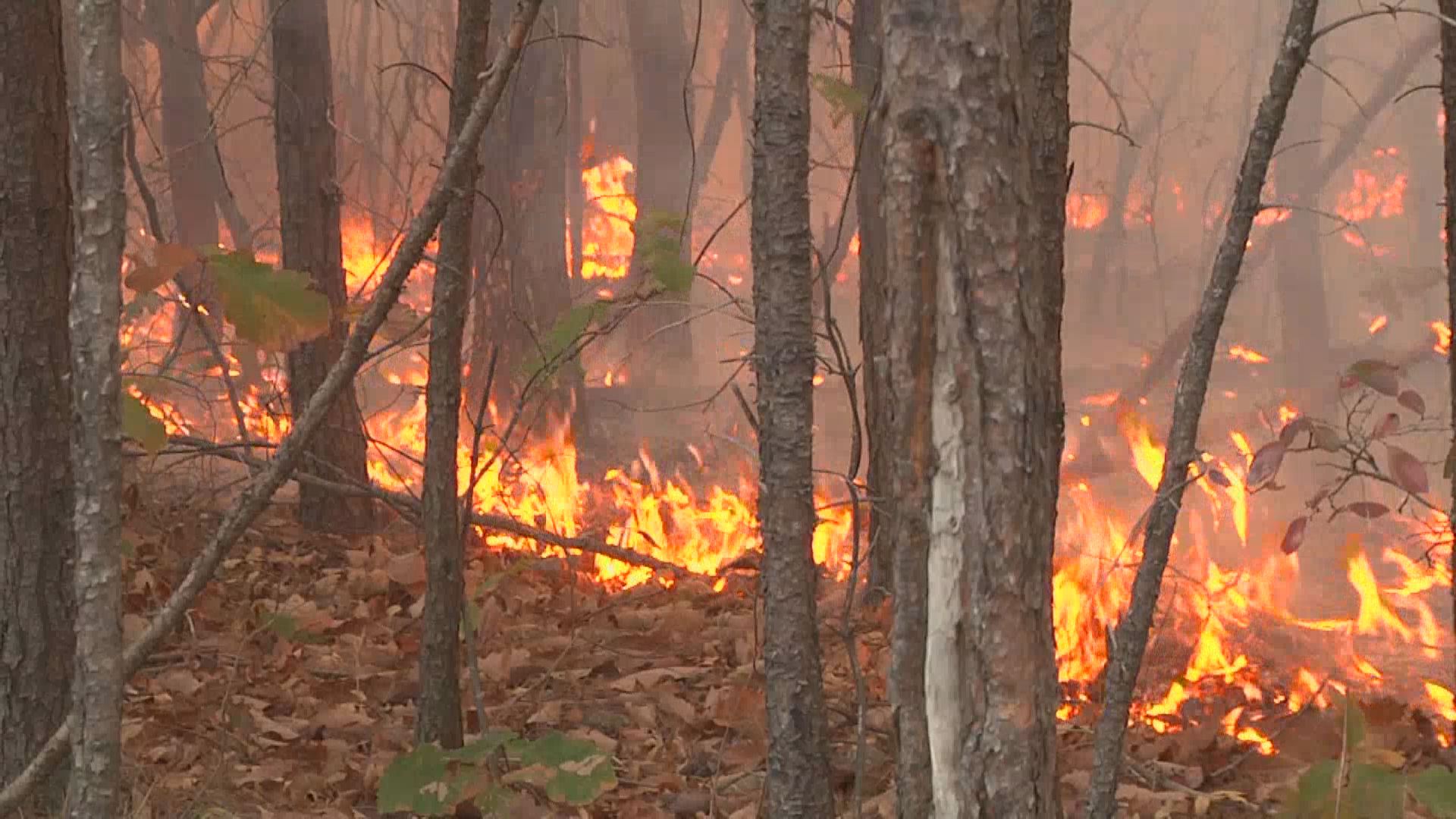 200+ hospitalized in Chattanooga due to wildfire issues | wbir.com